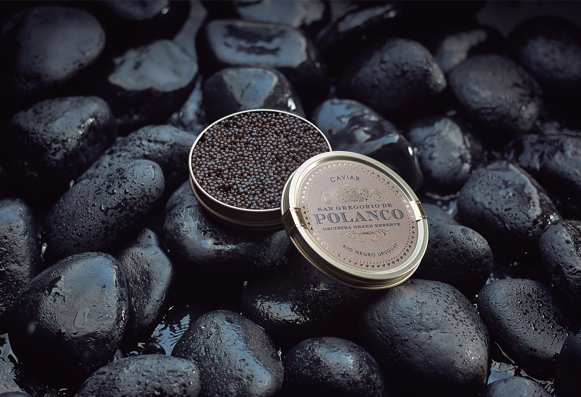 Polanco Caviar – Tastefully from Uruguay